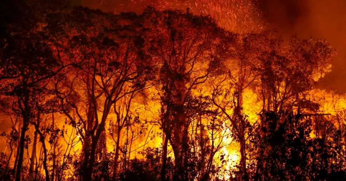 Área queimada no Brasil cresce 150% em 2024, diz MapBiomas